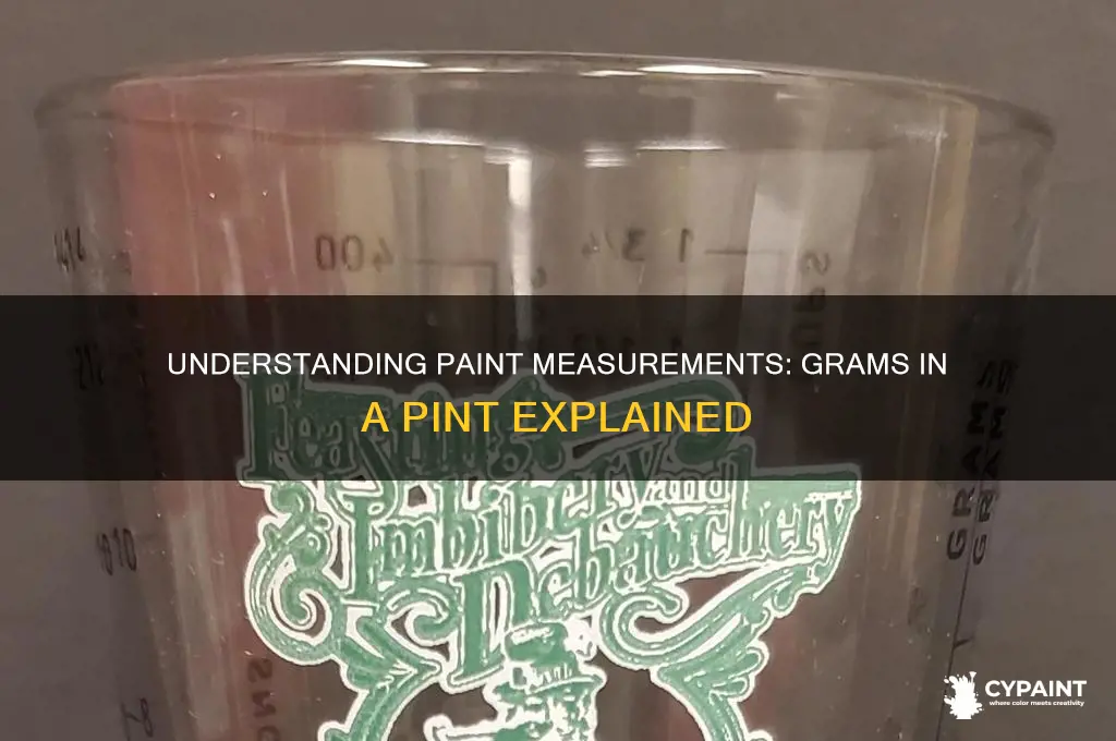 Understanding Paint Measurements: Grams In A Pint Explained | CyPaint