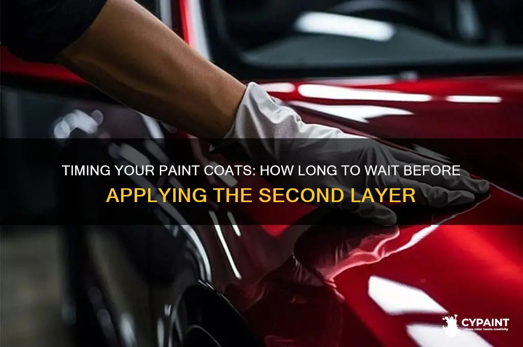 Timing Your Paint Coats: How Long To Wait Before Applying The Second ...
