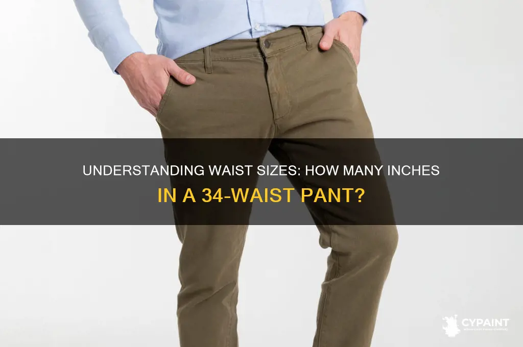 Understanding Waist Sizes: How Many Inches In A 34-Waist Pant? | CyPaint