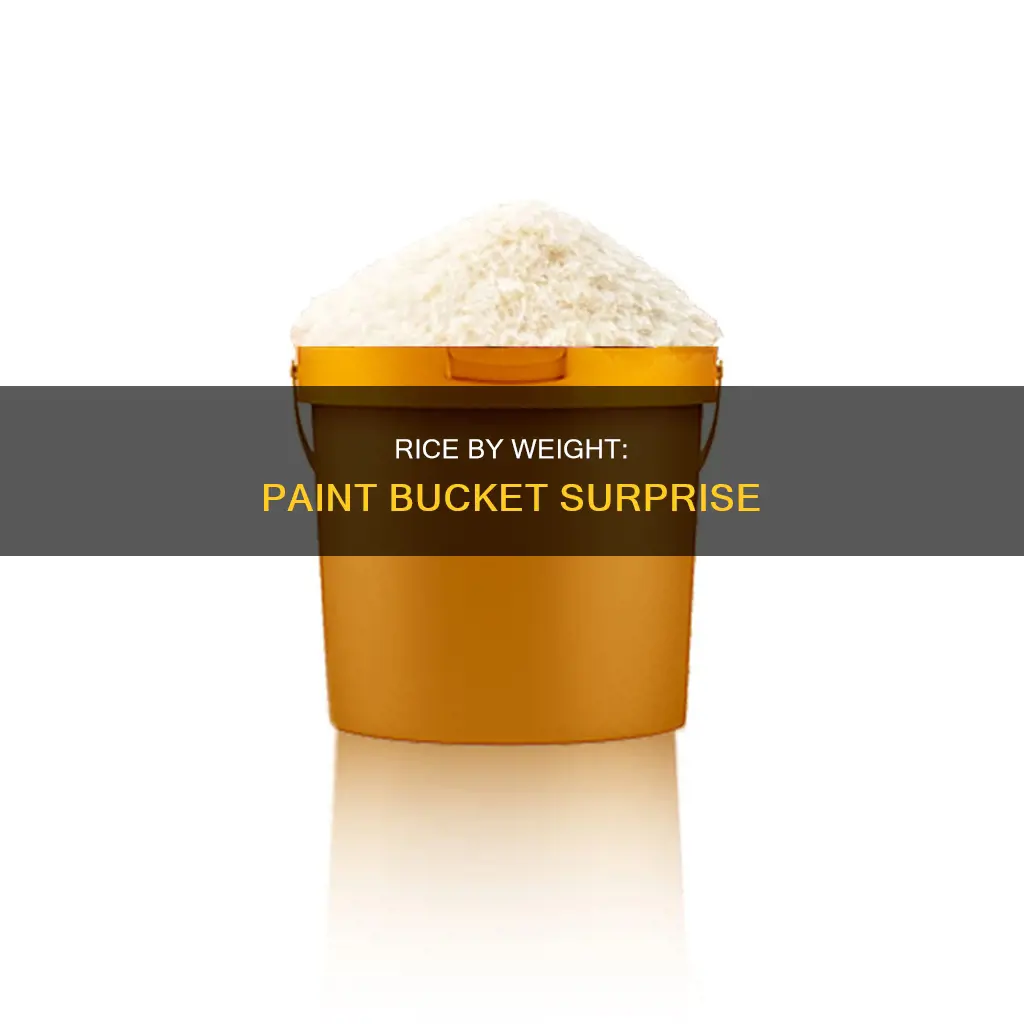 Rice By Weight: Paint Bucket Surprise | CyPaint