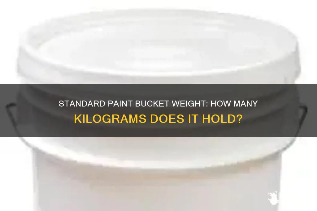 Standard Paint Bucket Weight: How Many Kilograms Does It Hold? | CyPaint
