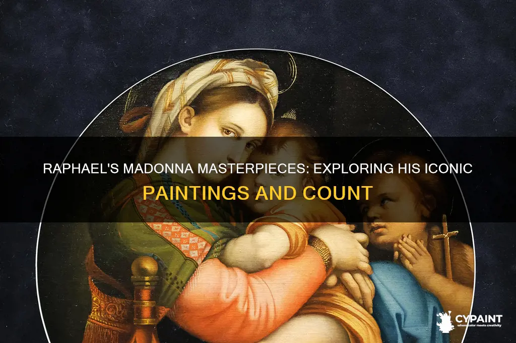Raphael's Madonna Masterpieces: Exploring His Iconic Paintings And ...