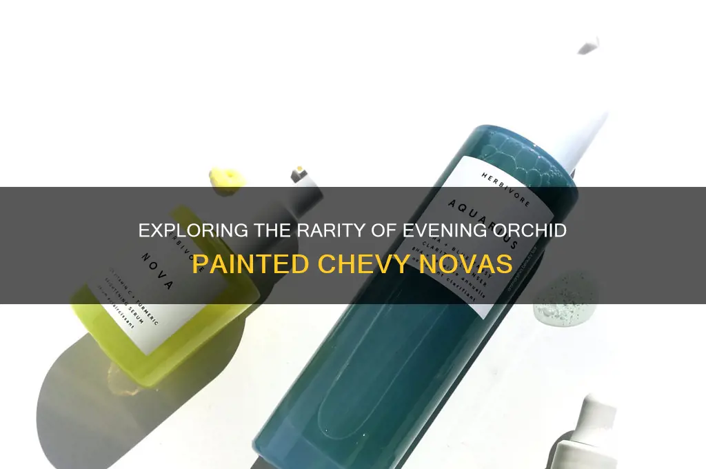 Exploring The Rarity Of Evening Orchid Painted Chevy Novas | CyPaint