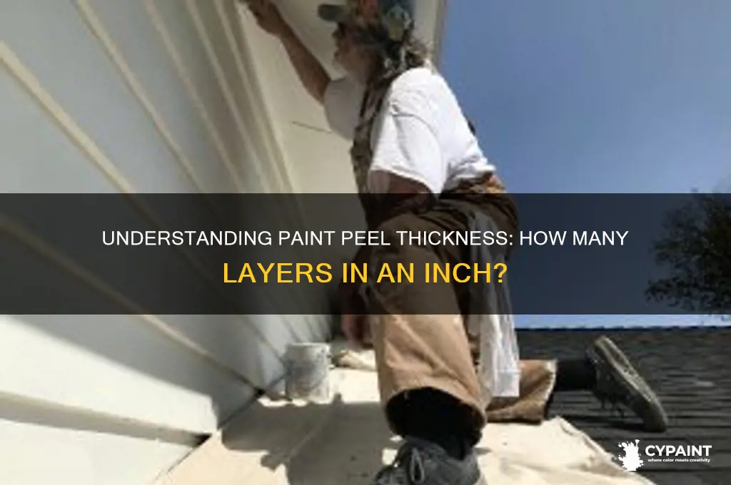 Understanding Paint Peel Thickness: How Many Layers In An Inch? | CyPaint