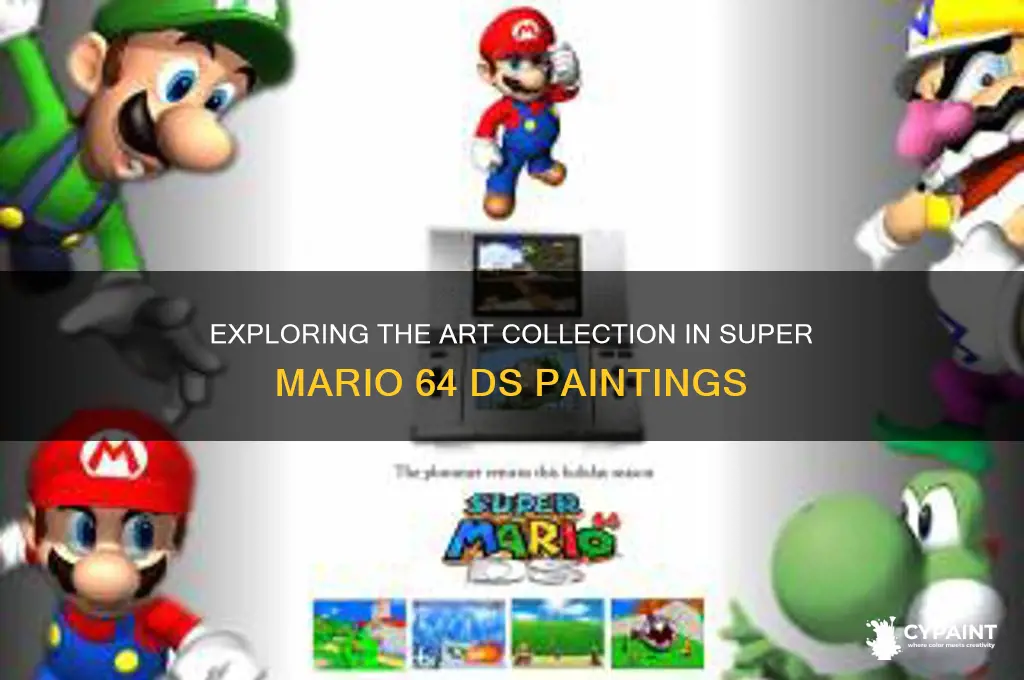 Exploring The Art Collection In Super Mario 64 Ds Paintings | CyPaint