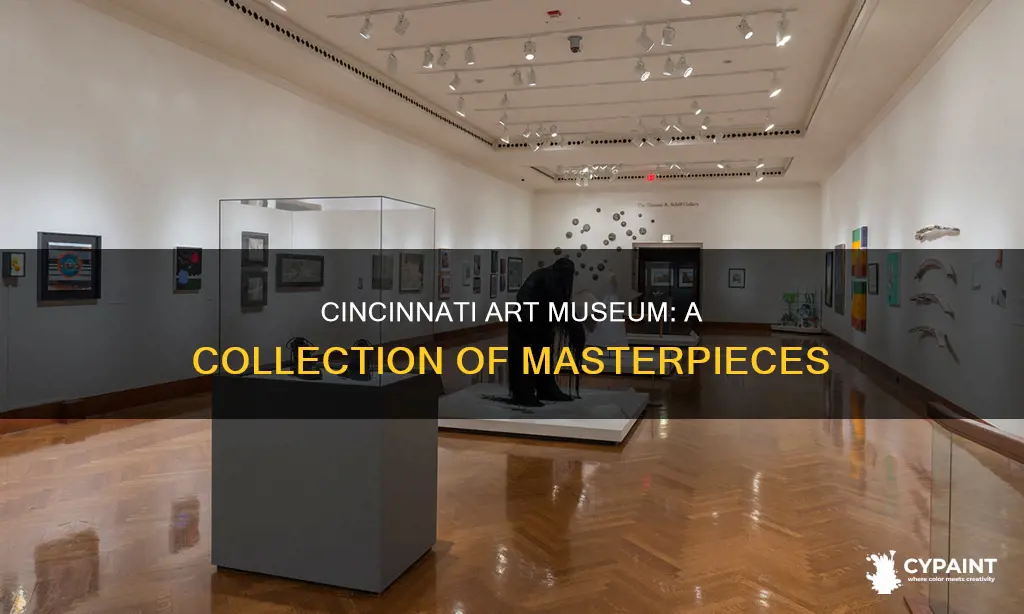 Cincinnati Art Museum: A Collection Of Masterpieces | CyPaint