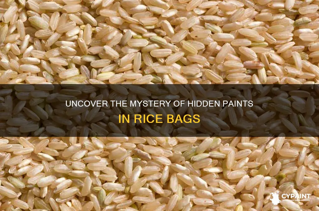 Uncover The Mystery Of Hidden Paints In Rice Bags | CyPaint