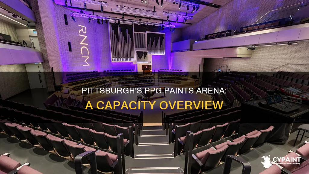 Pittsburgh's Ppg Paints Arena: A Capacity Overview | CyPaint