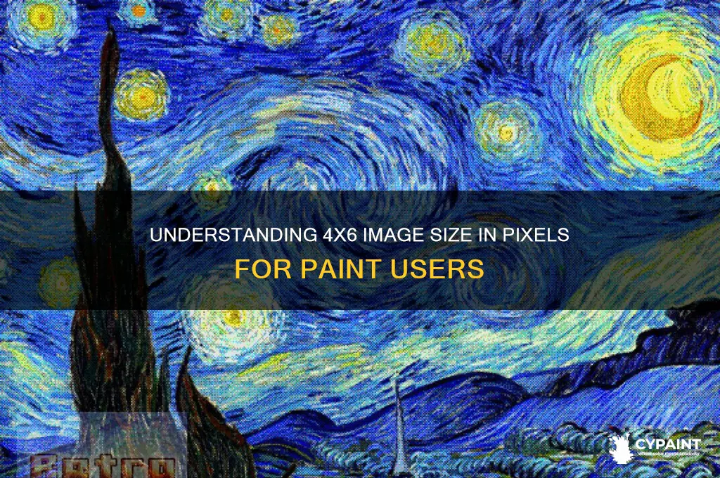 Understanding 4X6 Image Size In Pixels For Paint Users | CyPaint