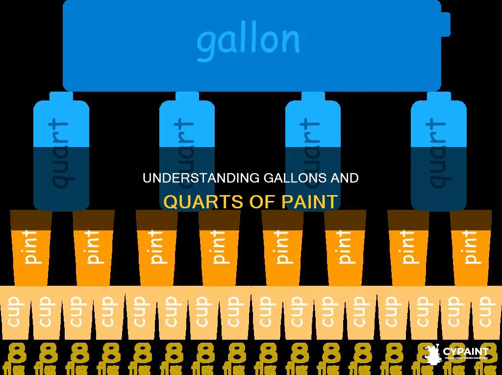 Understanding Gallons And Quarts Of Paint | CyPaint
