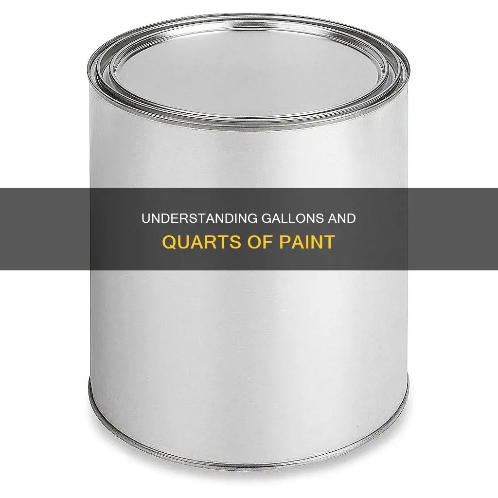 Understanding Gallons And Quarts Of Paint | CyPaint