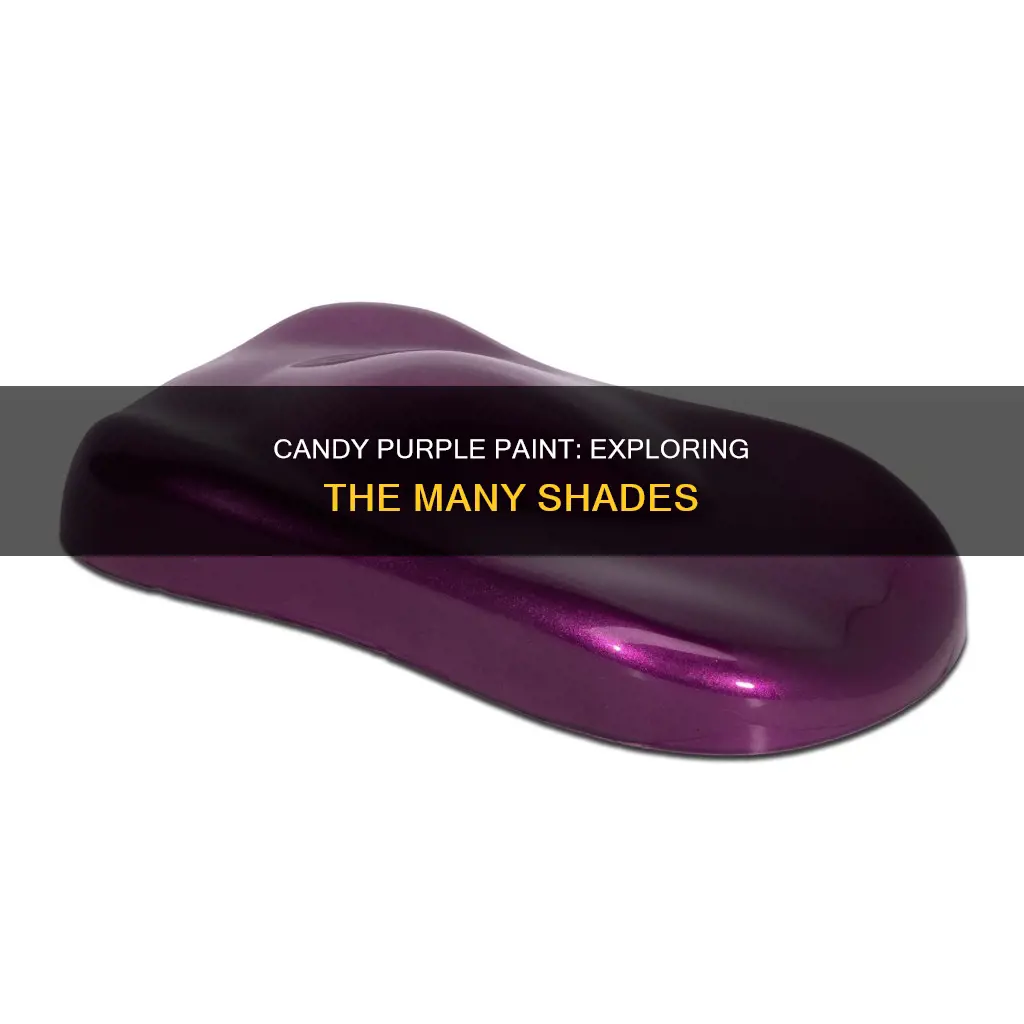 Candy Purple Paint: Exploring The Many Shades | CyPaint
