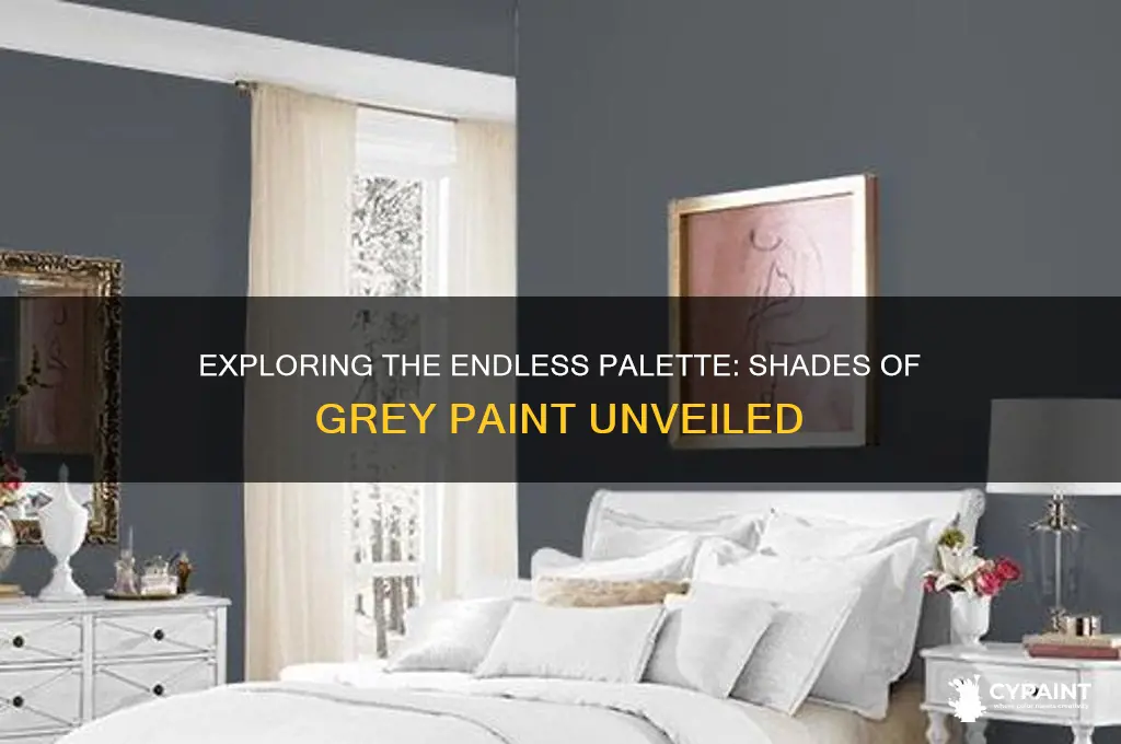 Exploring The Endless Palette: Shades Of Grey Paint Unveiled | CyPaint
