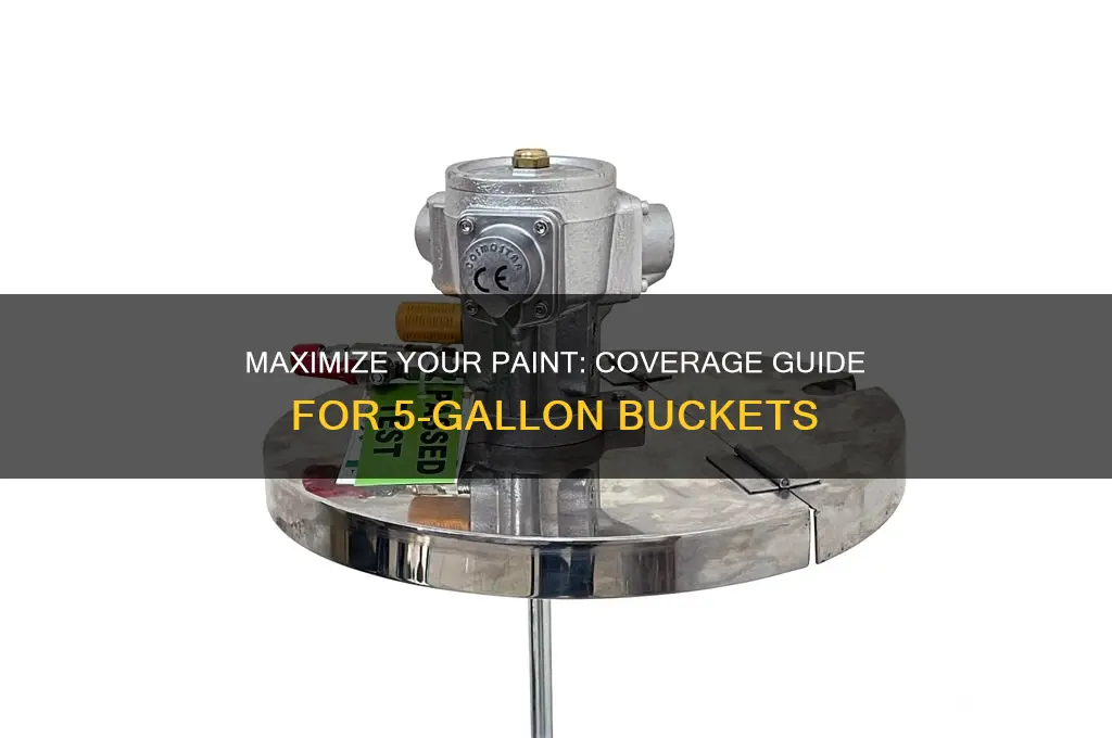 Maximize Your Paint: Coverage Guide For 5-Gallon Buckets | CyPaint