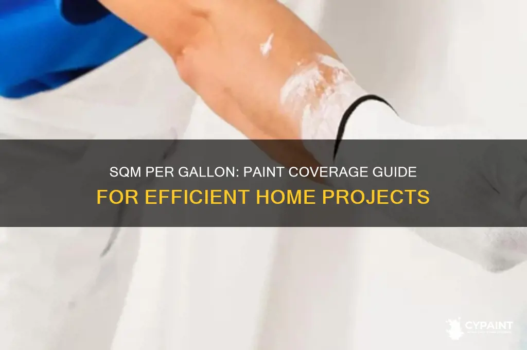 Sqm Per Gallon: Paint Coverage Guide For Efficient Home Projects | CyPaint