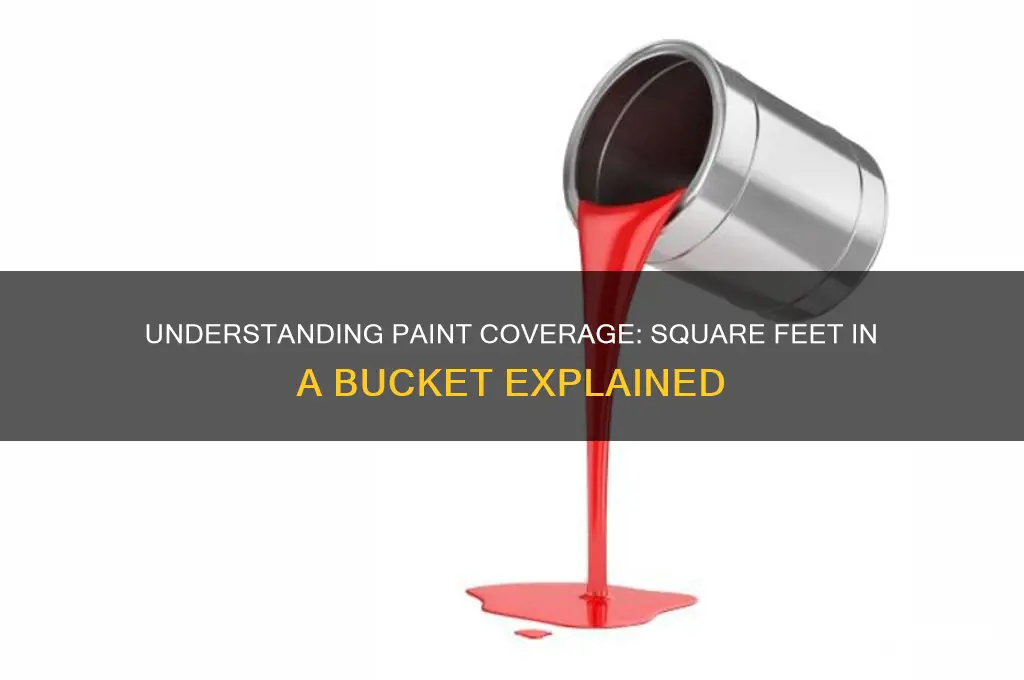 Understanding Paint Coverage: Square Feet In A Bucket Explained | CyPaint