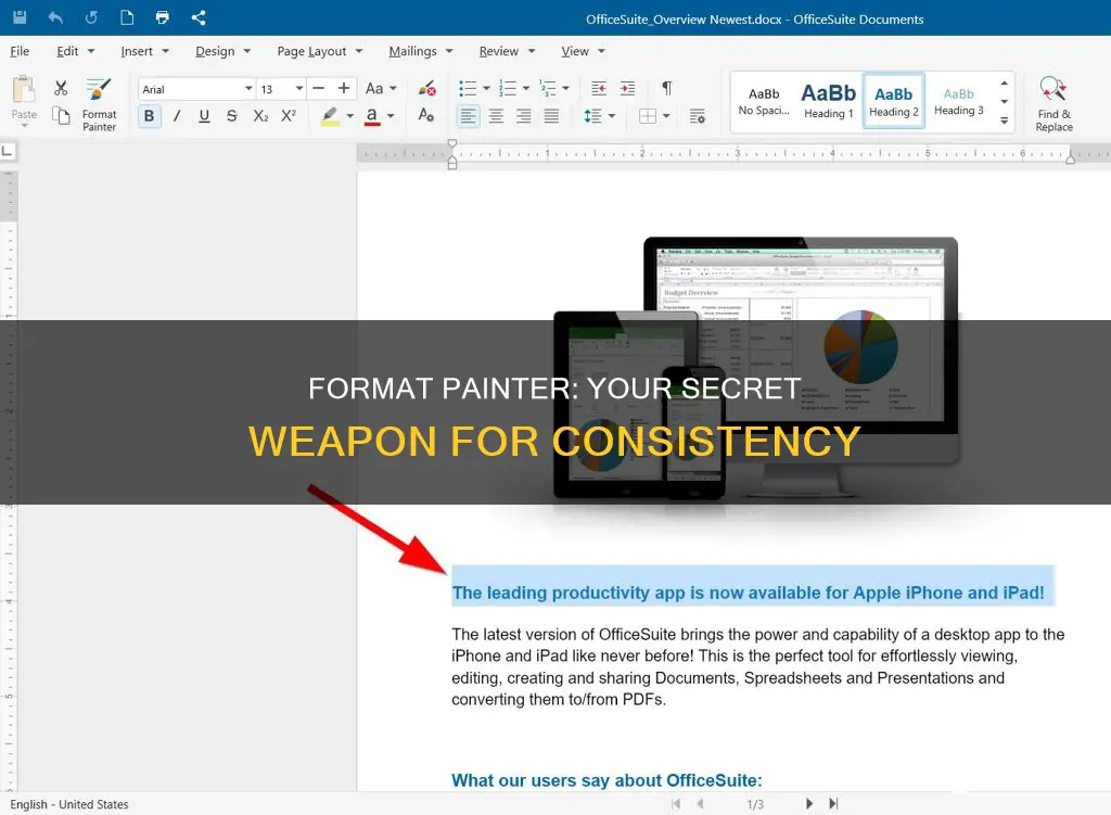 Format Painter: Your Secret Weapon For Consistency | CyPaint