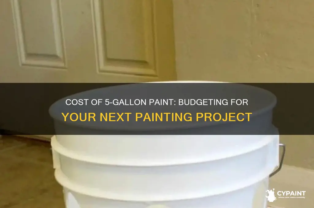 Cost Of 5-Gallon Paint: Budgeting For Your Next Painting Project | CyPaint