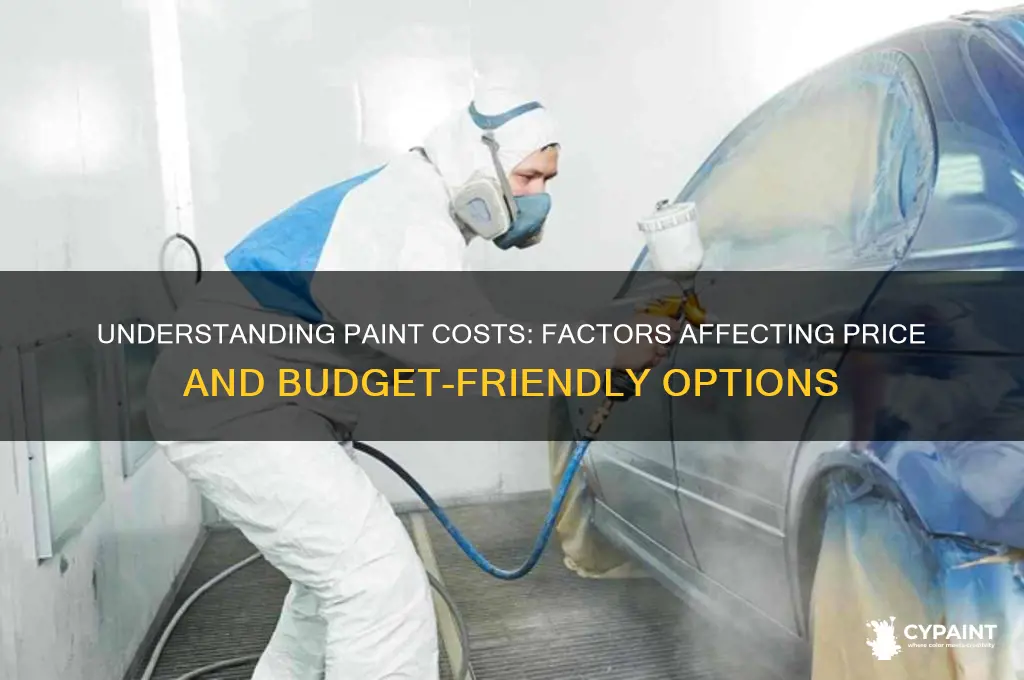 Understanding Paint Costs: Factors Affecting Price And Budget-Friendly ...