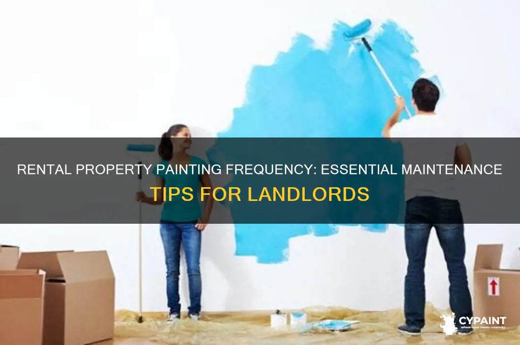 Rental Property Painting Frequency: Essential Maintenance Tips For ...