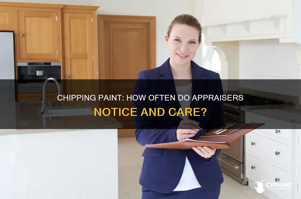 Chipping Paint: How Often Do Appraisers Notice And Care? | CyPaint