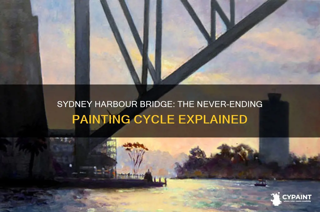 Sydney Harbour Bridge: The Never-Ending Painting Cycle Explained | CyPaint