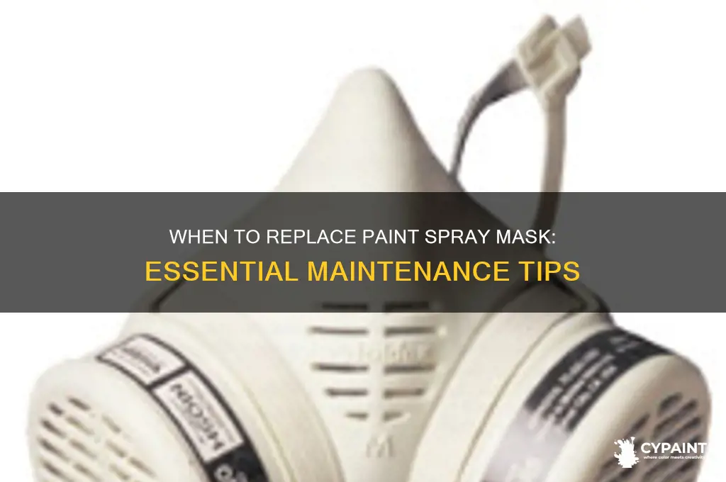 When To Replace Paint Spray Mask: Essential Maintenance Tips | CyPaint