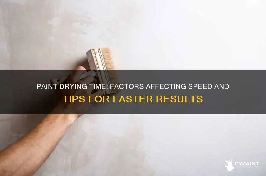 Paint Drying Time: Factors Affecting Speed And Tips For Faster Results ...
