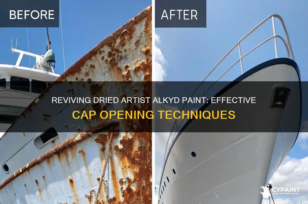 Reviving Dried Artist Alkyd Paint: Effective Cap Opening Techniques ...