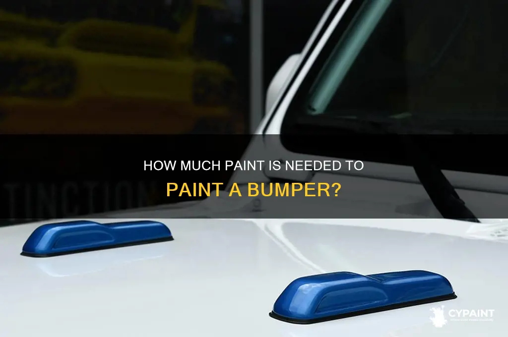 How Much To Paint A Bumper