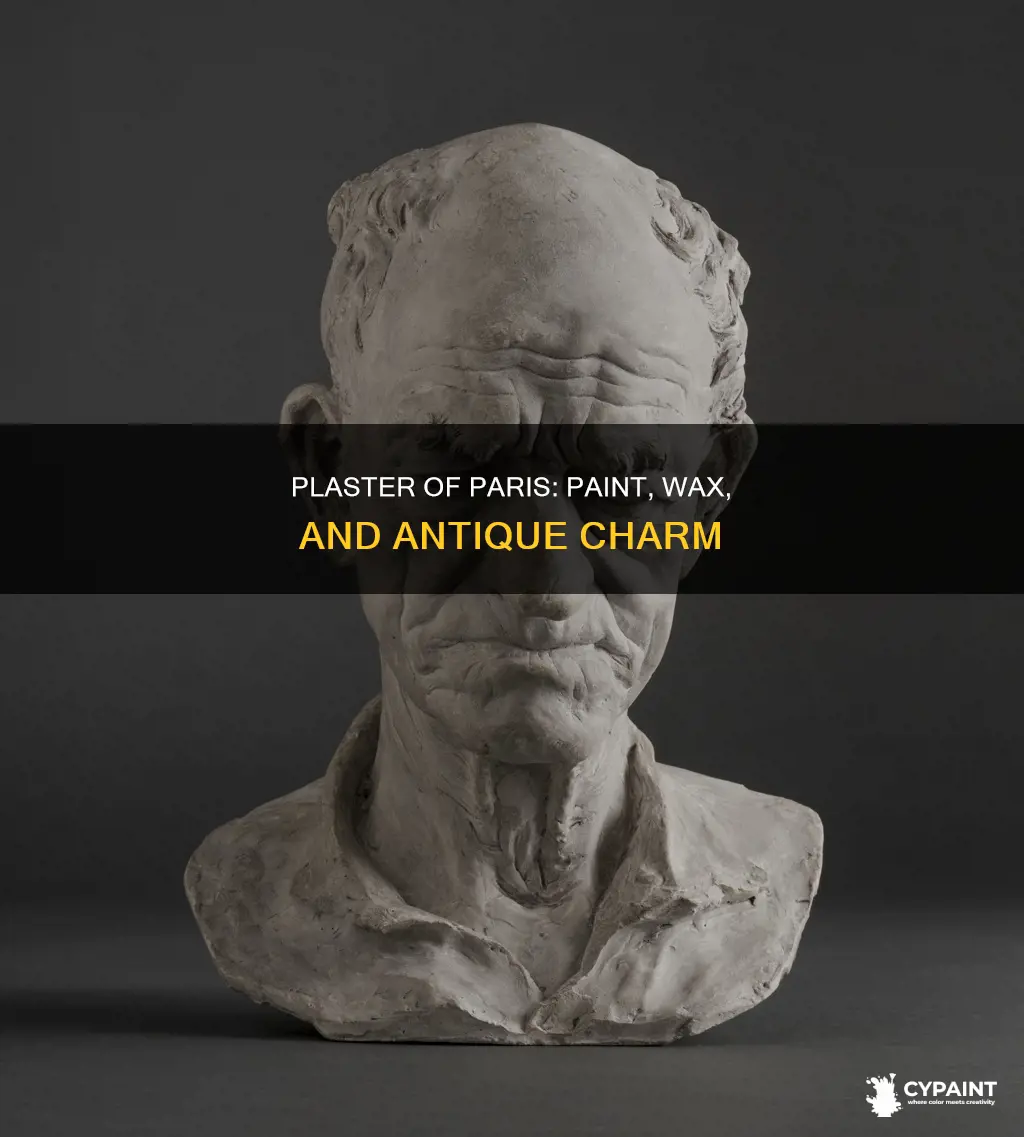 Plaster Of Paris: Paint, Wax, And Antique Charm | CyPaint
