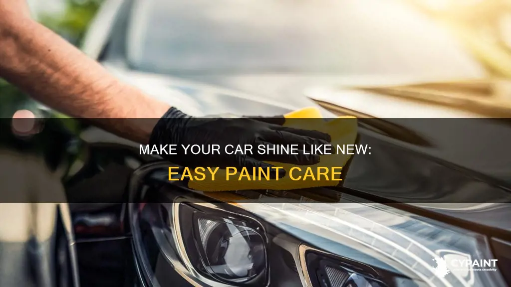 Make Your Car Shine Like New: Easy Paint Care | CyPaint