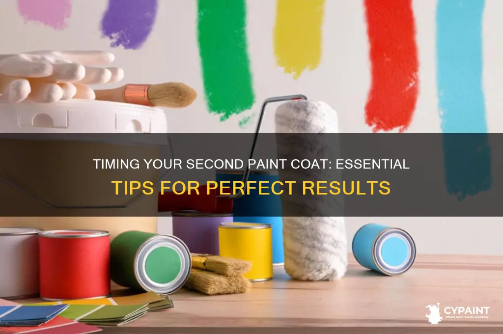Timing Your Second Paint Coat: Essential Tips For Perfect Results | CyPaint