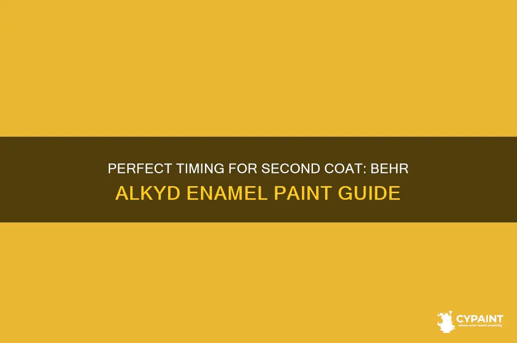 Perfect Timing For Second Coat: Behr Alkyd Enamel Paint Guide | CyPaint