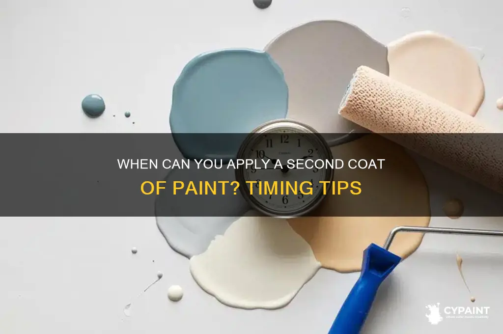 When Can You Apply A Second Coat Of Paint? Timing Tips | CyPaint