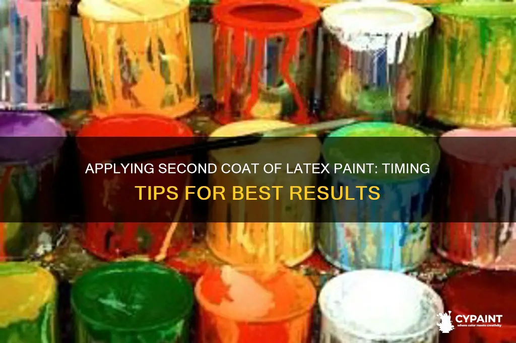 Applying Second Coat Of Latex Paint: Timing Tips For Best Results | CyPaint