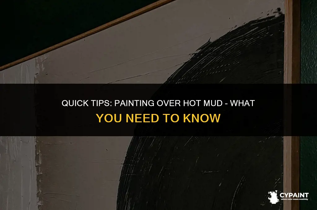 Quick Tips: Painting Over Hot Mud - What You Need To Know | CyPaint