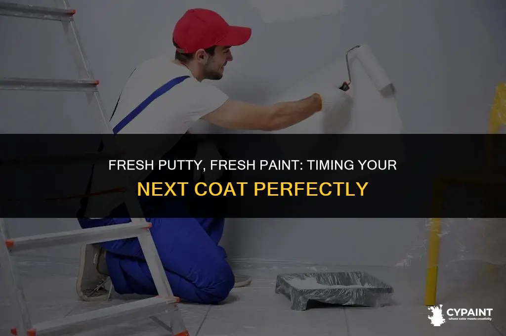 Fresh Putty, Fresh Paint: Timing Your Next Coat Perfectly | CyPaint