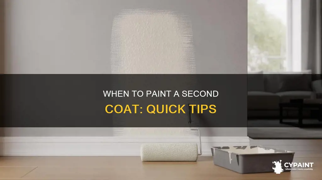 When To Paint A Second Coat: Quick Tips | CyPaint