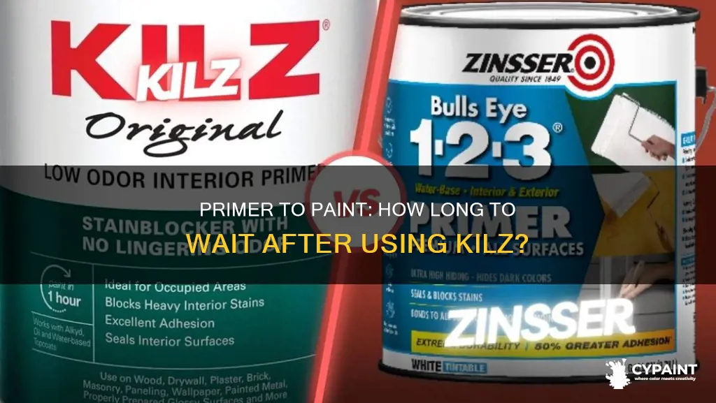 Primer To Paint: How Long To Wait After Using Kilz? | CyPaint