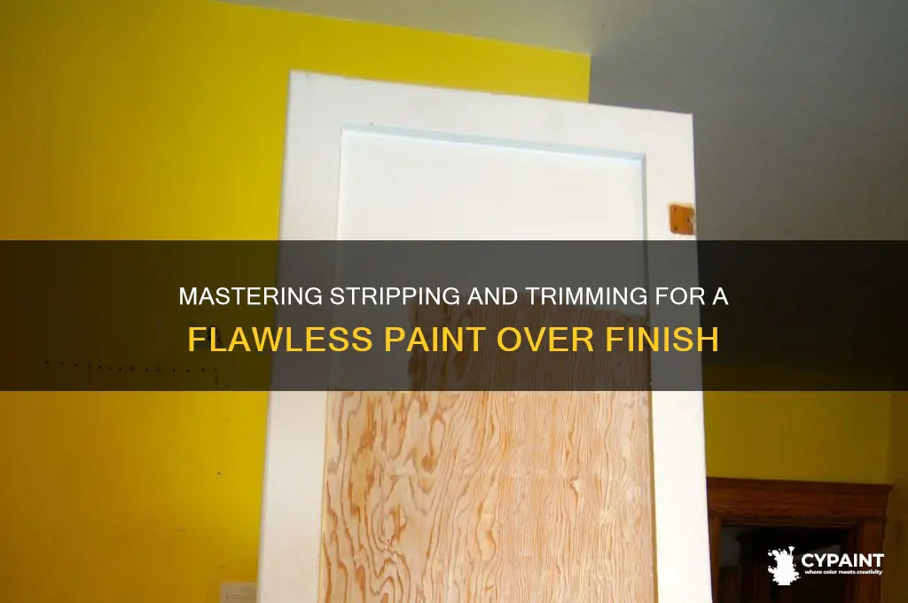 Mastering Stripping And Trimming For A Flawless Paint Over Finish | CyPaint