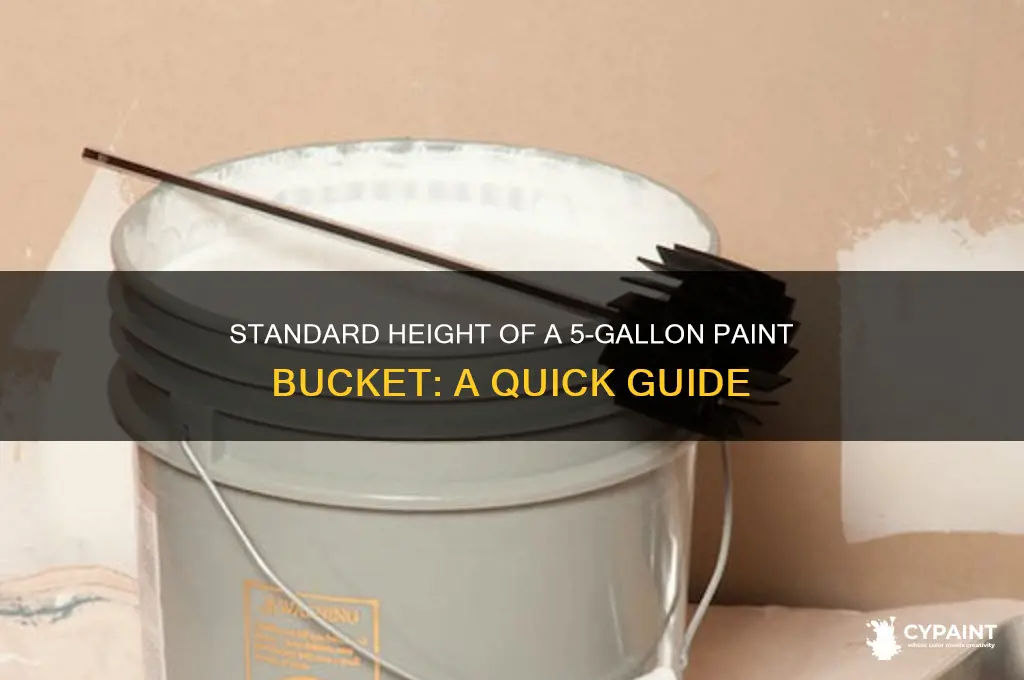 Standard Height Of A 5-Gallon Paint Bucket: A Quick Guide | CyPaint