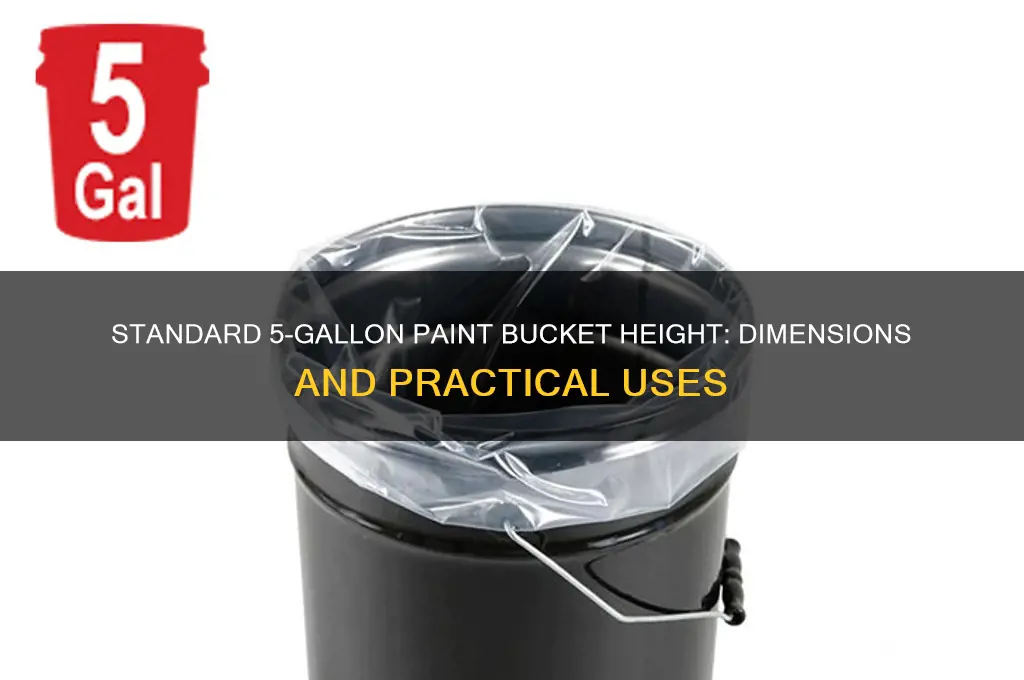Standard 5-Gallon Paint Bucket Height: Dimensions And Practical Uses ...