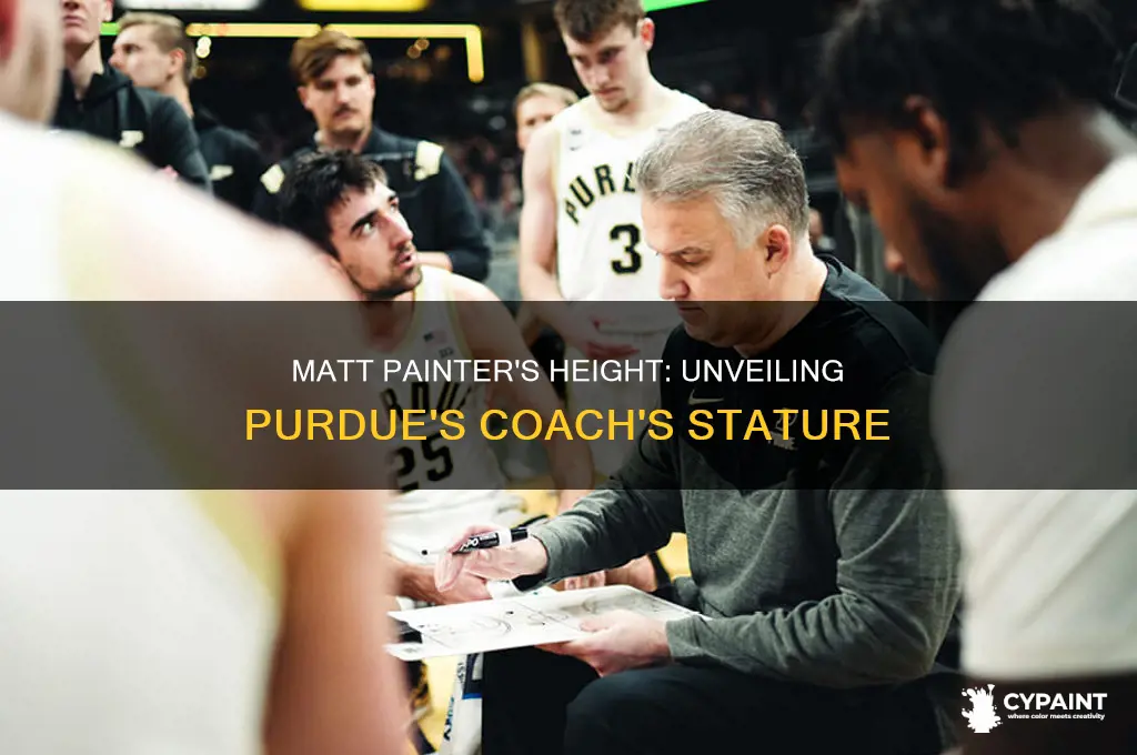 Matt Painter's Height: Unveiling Purdue's Coach's Stature | CyPaint