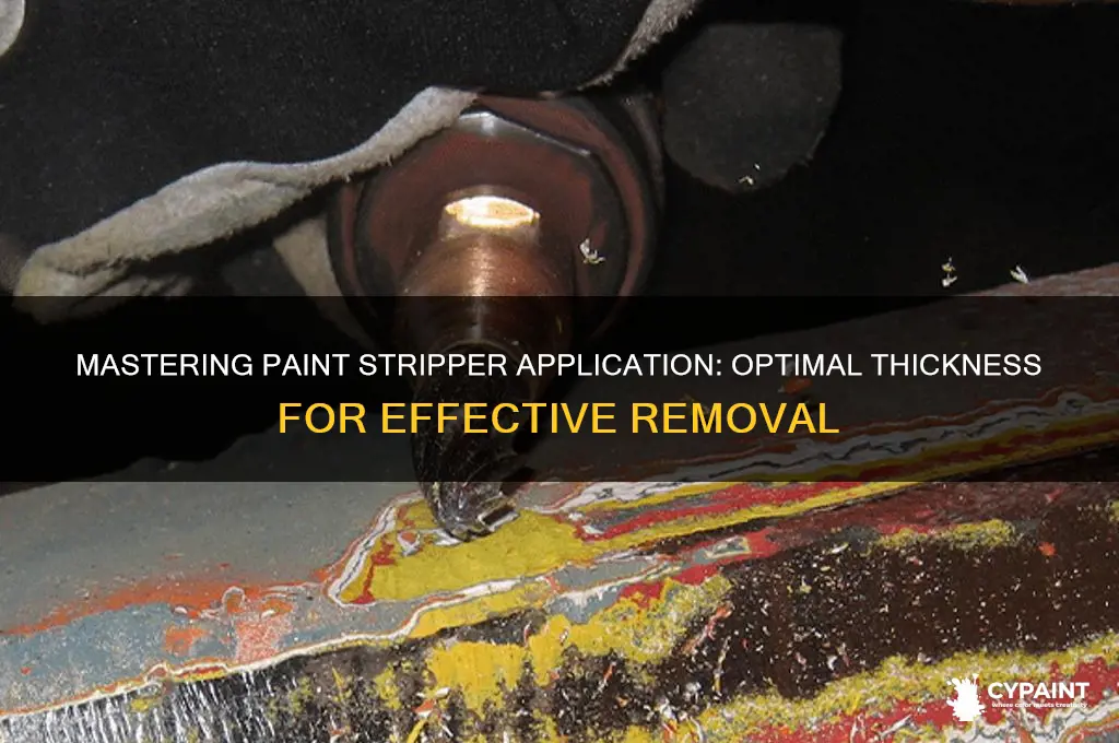 Mastering Paint Stripper Application: Optimal Thickness For Effective ...