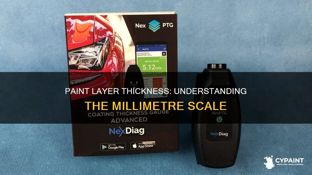 Paint Layer Thickness: Understanding The Millimetre Scale | CyPaint