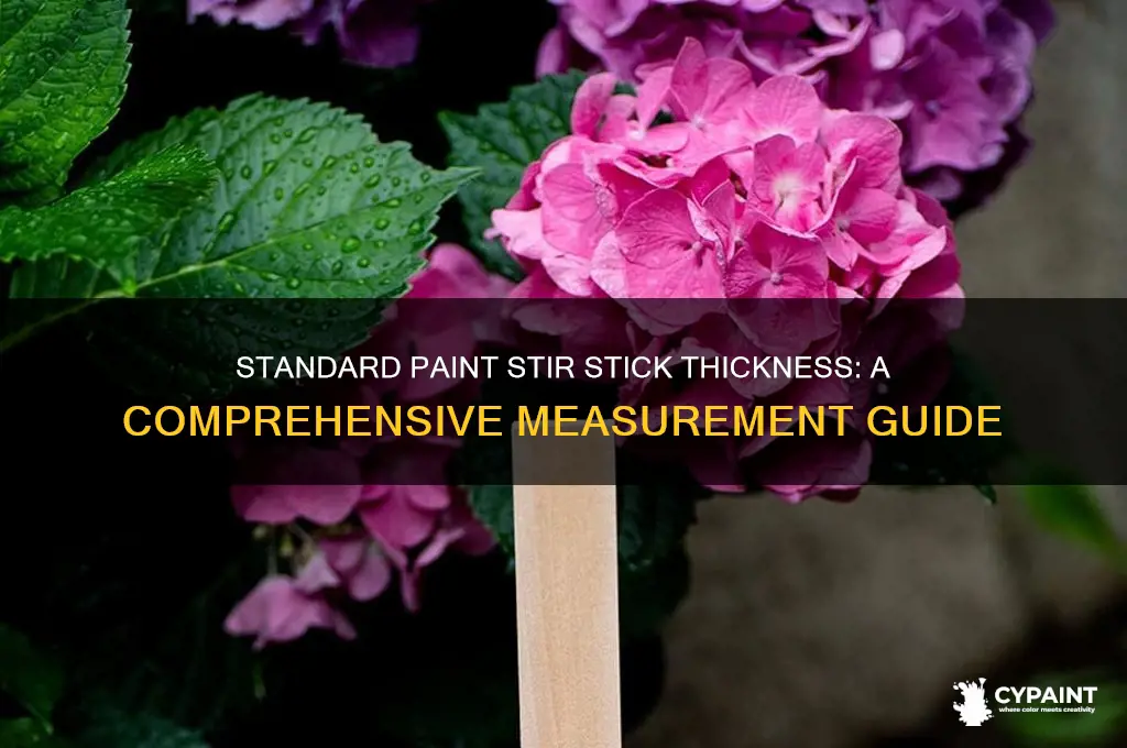 Standard Paint Stir Stick Thickness: A Comprehensive Measurement Guide ...