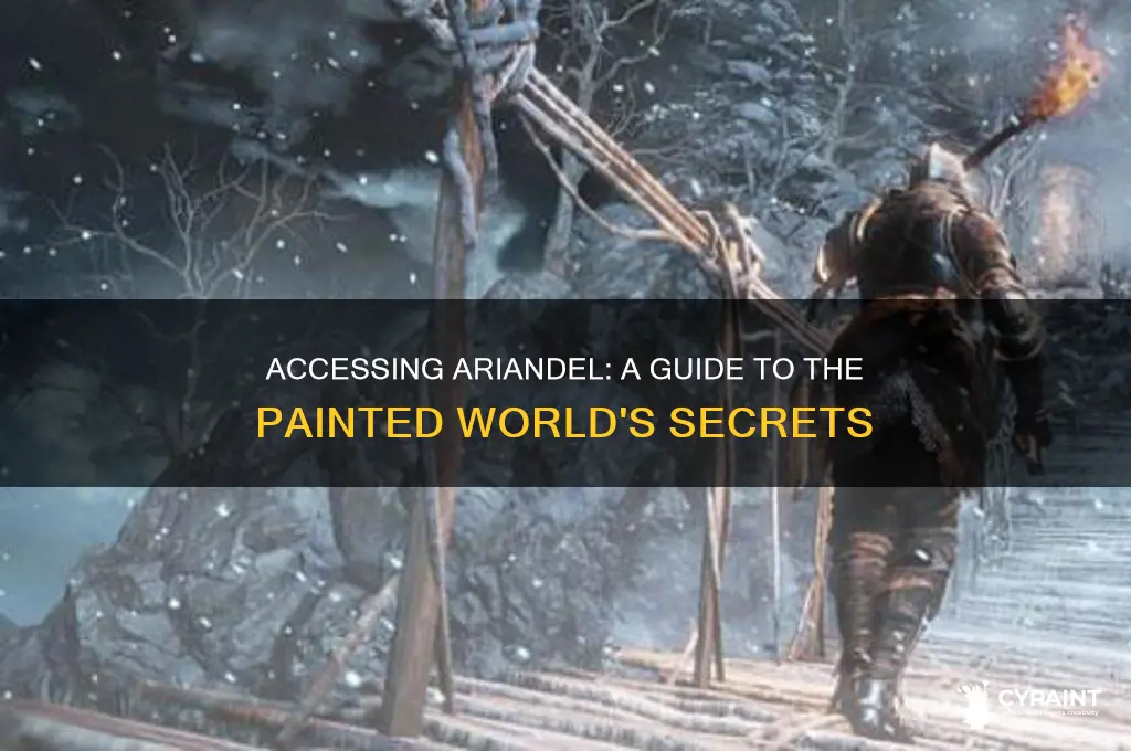 Accessing Ariandel: A Guide To The Painted World's Secrets | CyPaint