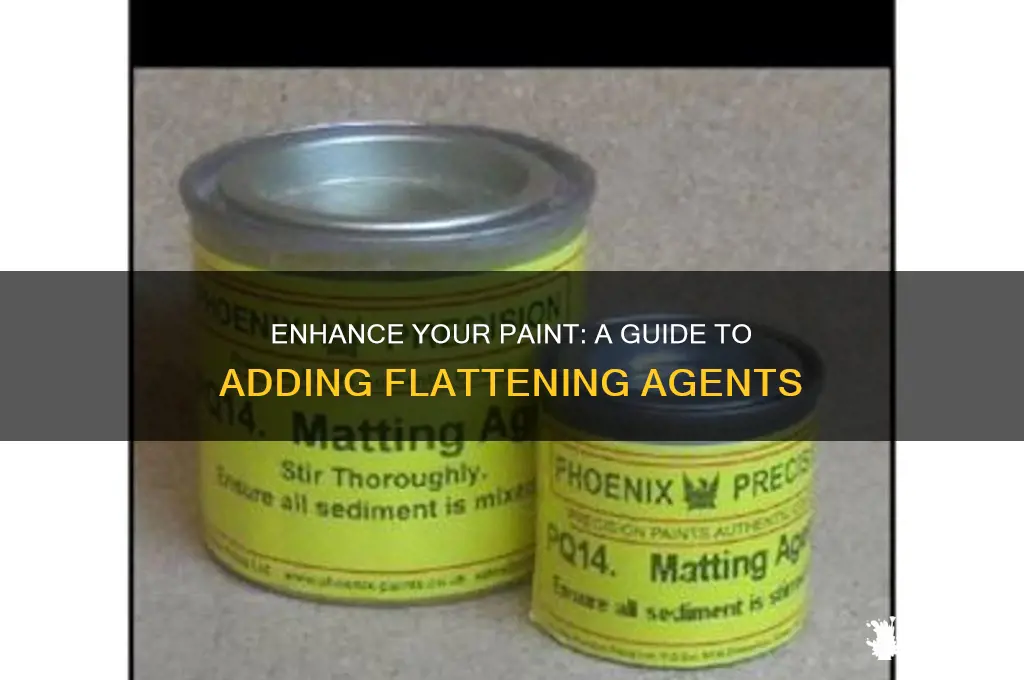 Enhance Your Paint: A Guide To Adding Flattening Agents | CyPaint
