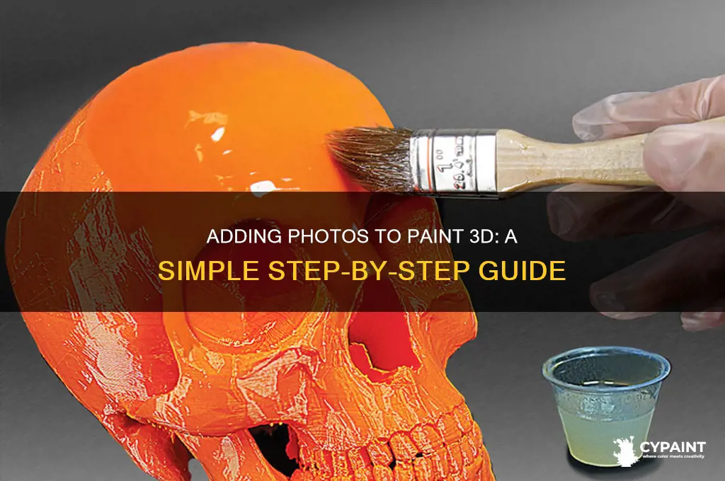 Adding Photos To Paint 3D: A Simple Step-By-Step Guide | CyPaint